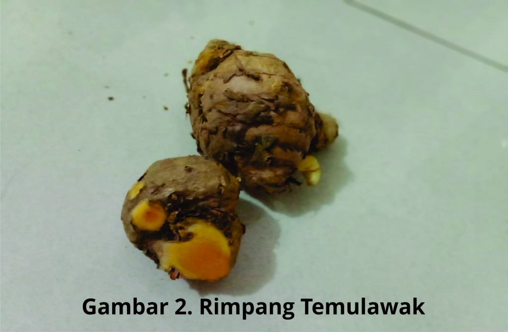 Herba Covid-19: Kombinasi Jahe, Kunyit, dan Temulawak Sebagai Penguat ...