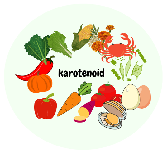 Karotenoid : Zat Pewarna Alami yang Bermanfaat Bagi Kesehatan – Kanal ...